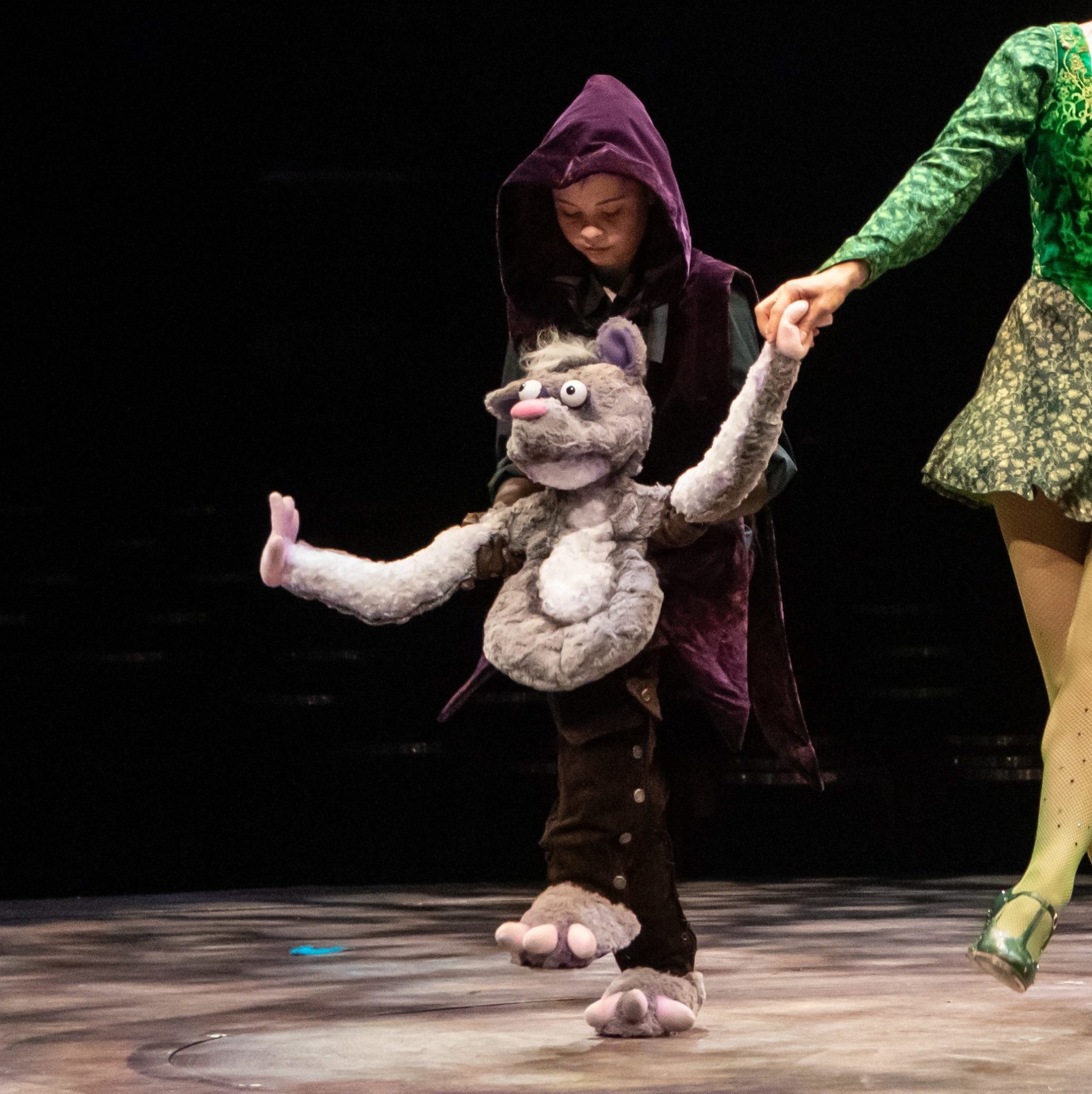 SHREK RENTALS - Broadway Sacramento